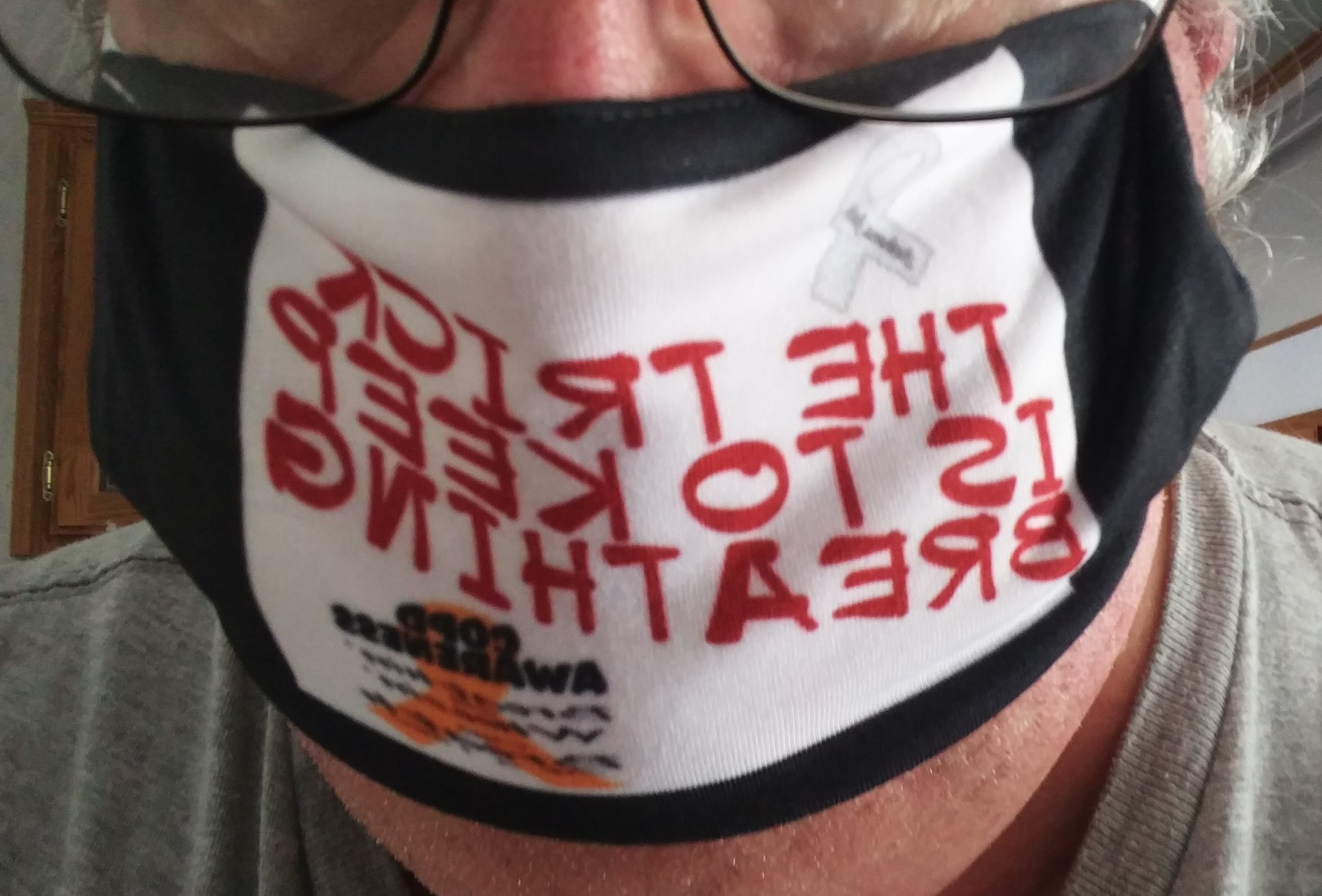 ‘LENNY’ & ME 4 TODAY – TO MASK OR NOT TO MASK – DISABILITIES DAILY